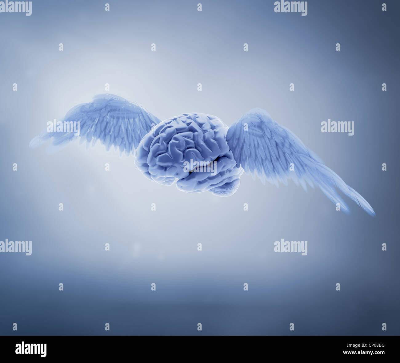 A human brains with wings - free mind concept Stock Photo - Alamy