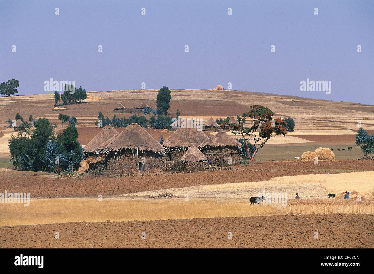 Ethiopia - China Road - Near the village of Dilba Stock Photo - Alamy