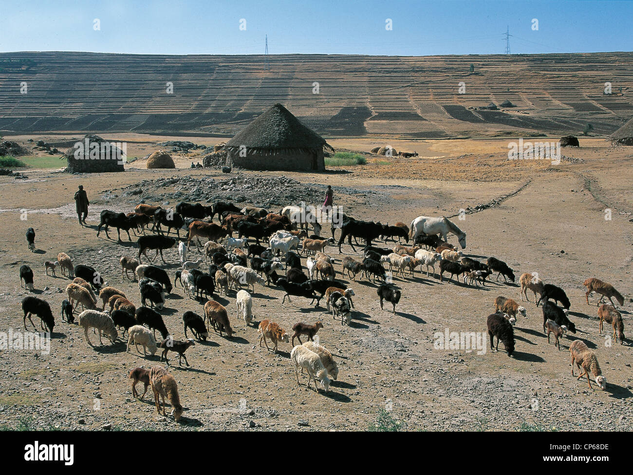 Ethiopia - China Road - Near Village Dilba. Pastors Stock Photo - Alamy