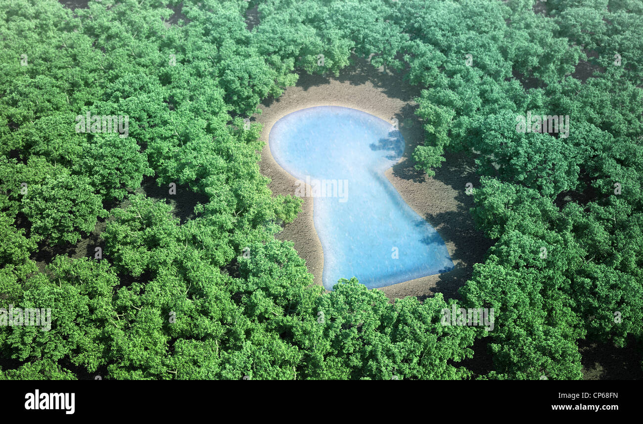 A small keyhole shaped pond surrounded by a forest Stock Photo - Alamy