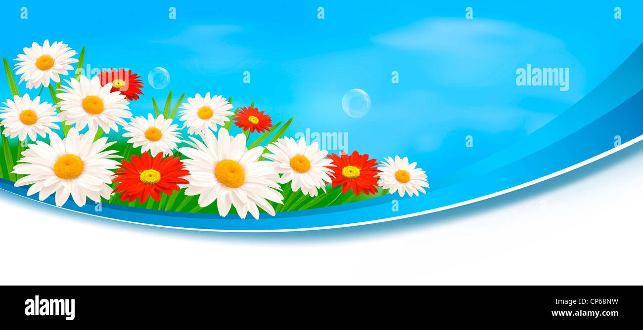 Nature banner with red flowers and daisies Stock Photo - Alamy