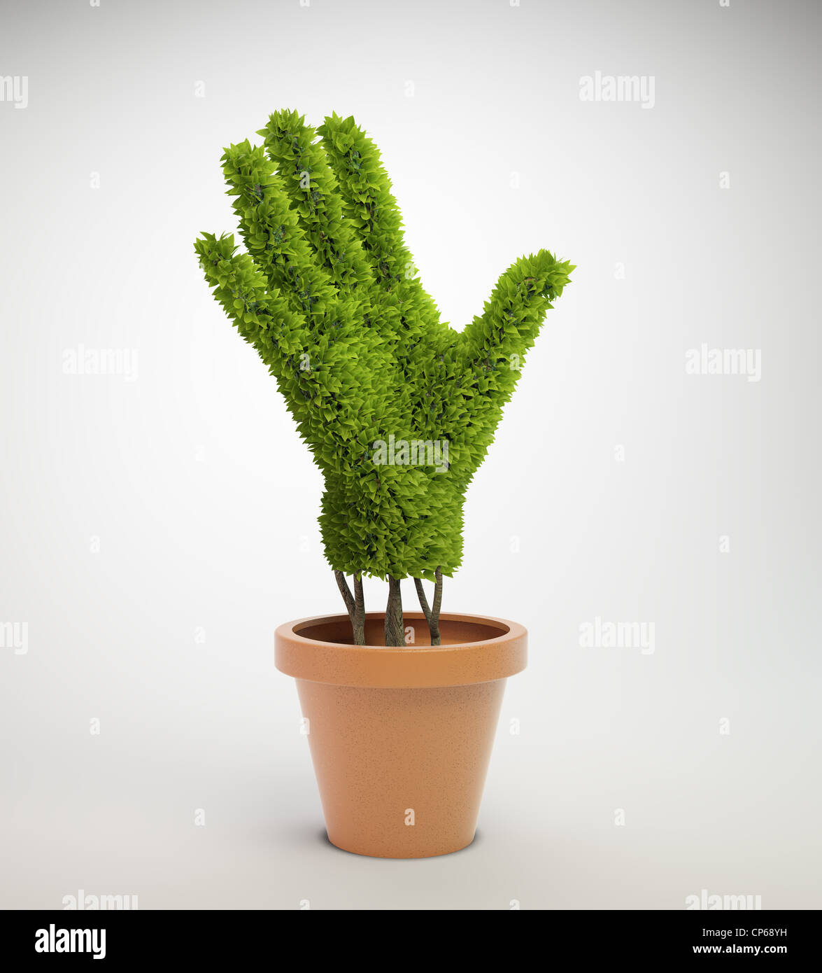 A small plant shaped like a human hand growing out of a pot Stock Photo ...