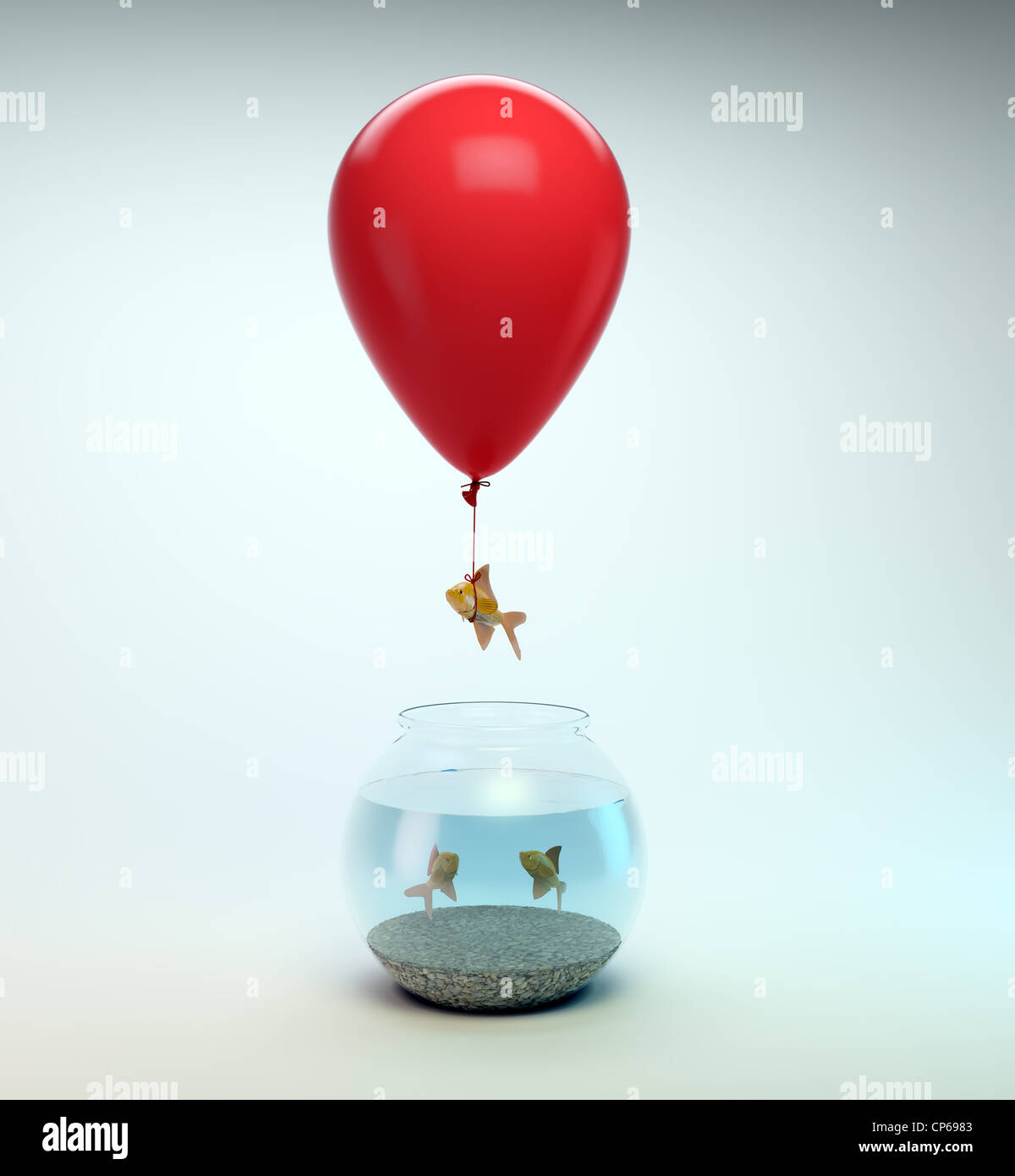 Balloon fish hi-res stock photography and images - Alamy