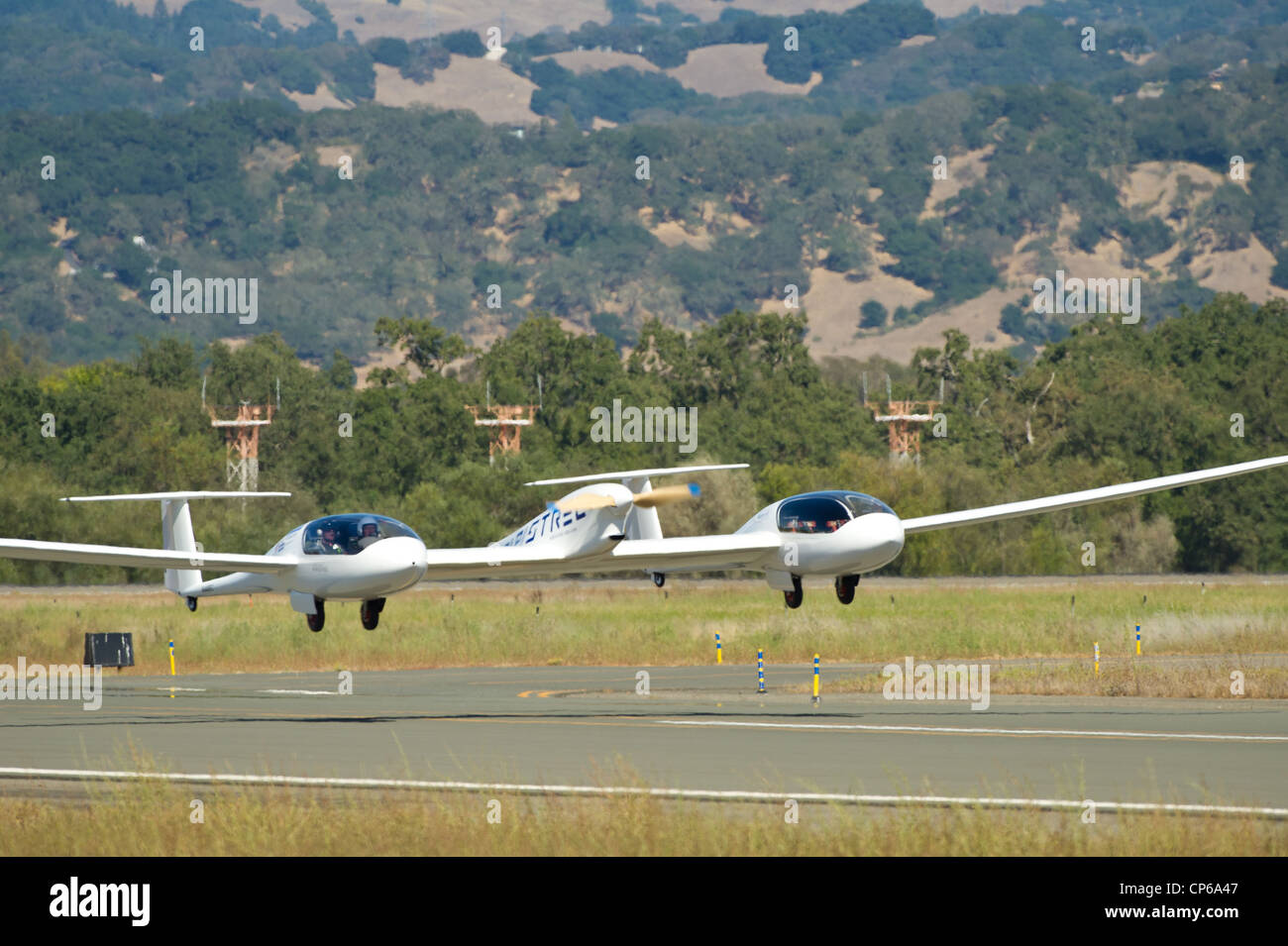Pipistrel hi-res stock photography and images - Alamy