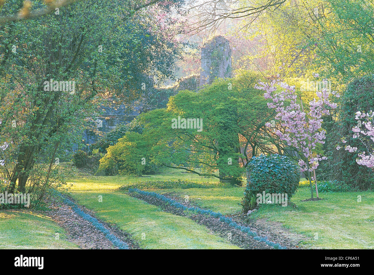Lazio Province Of Latin Garden Oasis Of Ninfa Stock Photo - Alamy