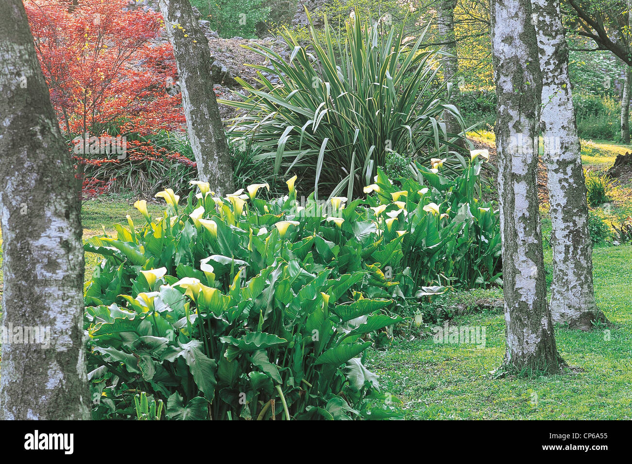 Lazio Province Of Latin Garden Oasis Of Ninfa Stock Photo - Alamy