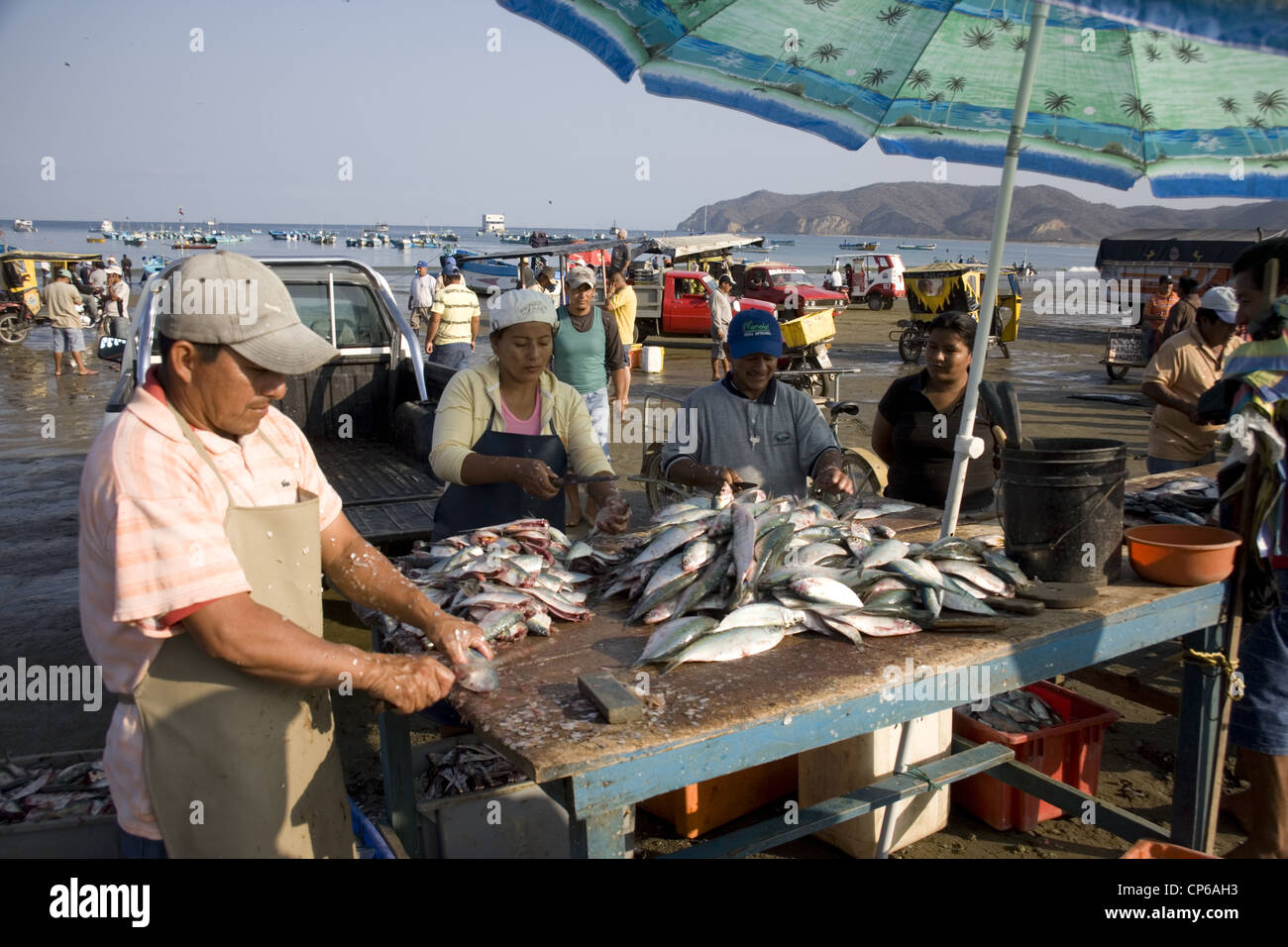 Ecuador Pacific Coast Puerto Lopez fishing village morning catch being ...