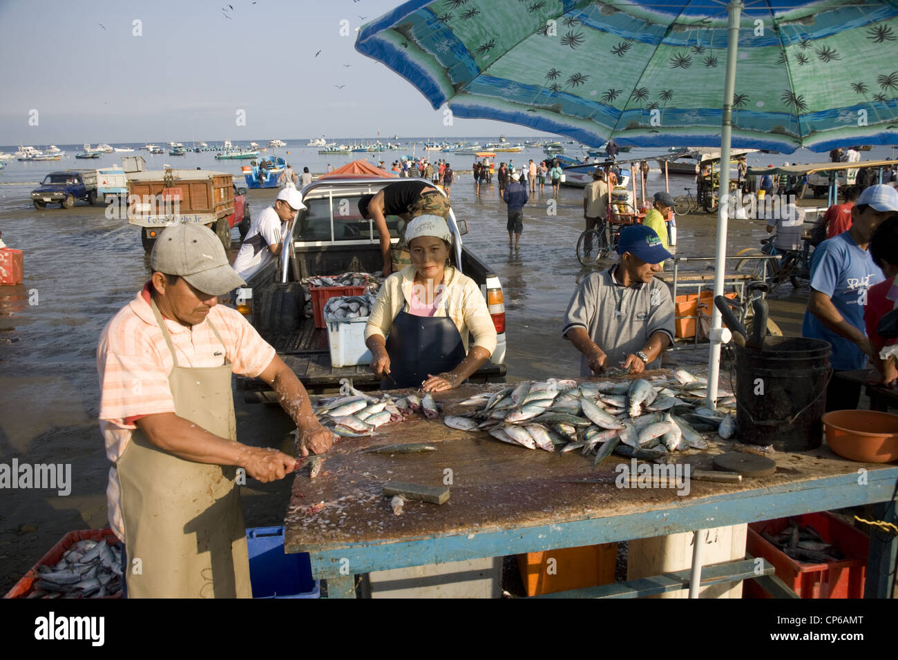 Ecuador Pacific Coast Puerto Lopez fishing village morning catch being ...