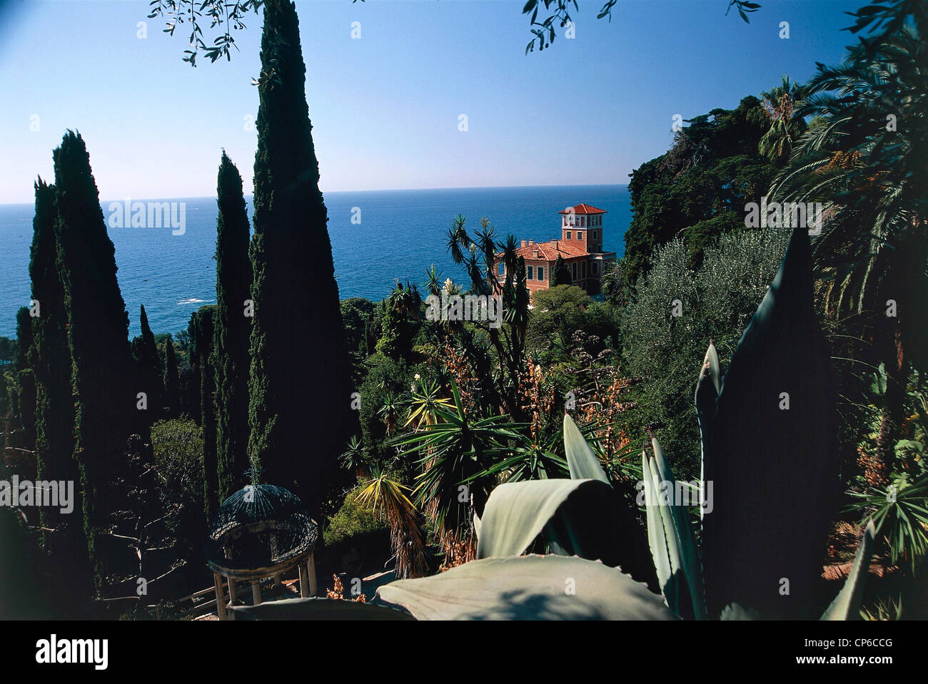 Liguria - Ventimiglia (Im) - Cape Mortola. Villa Hanbury. The gardens ...