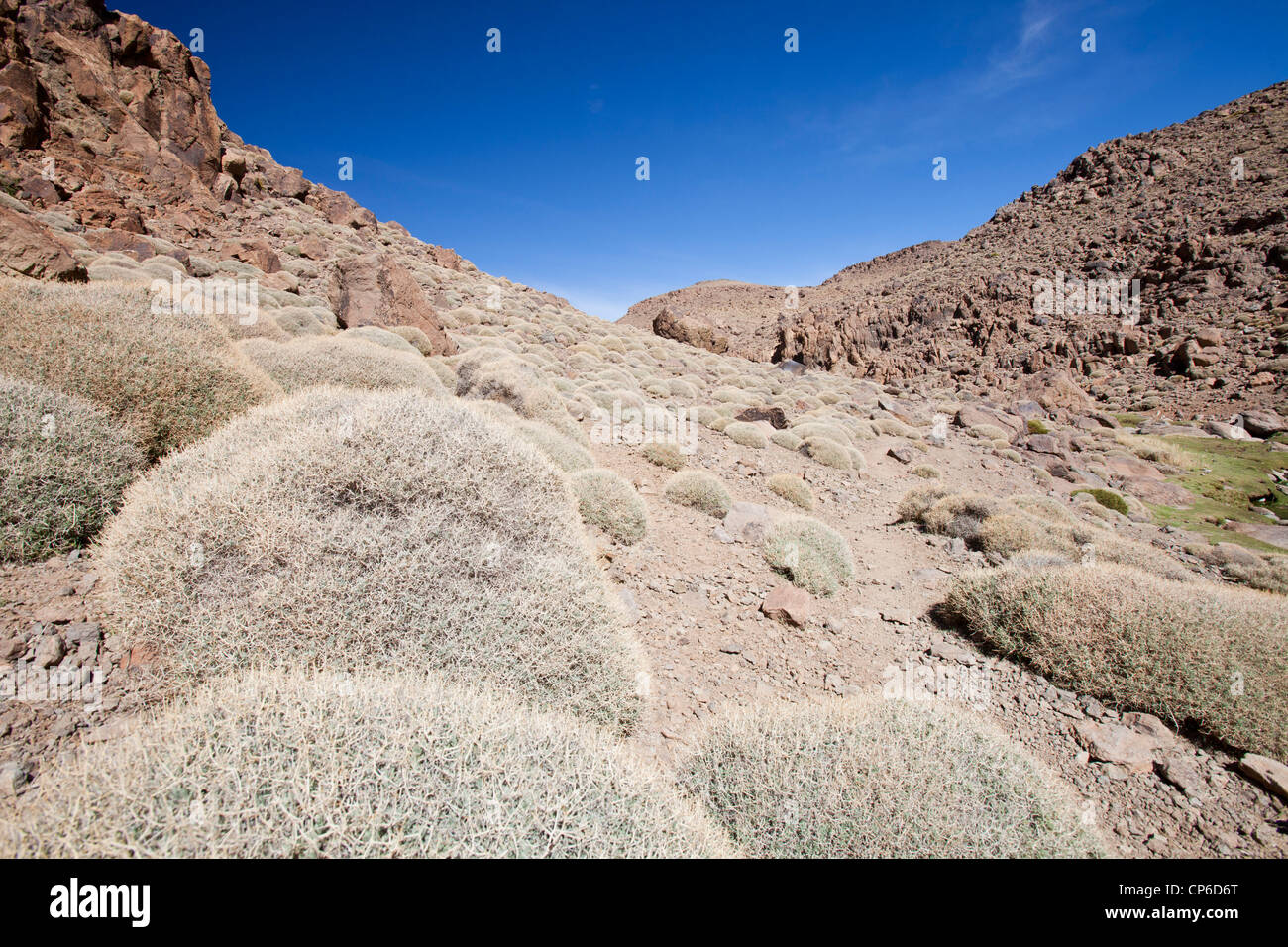 A barren hillside with sparse vegetation near Guiliz peak in the Anti ...