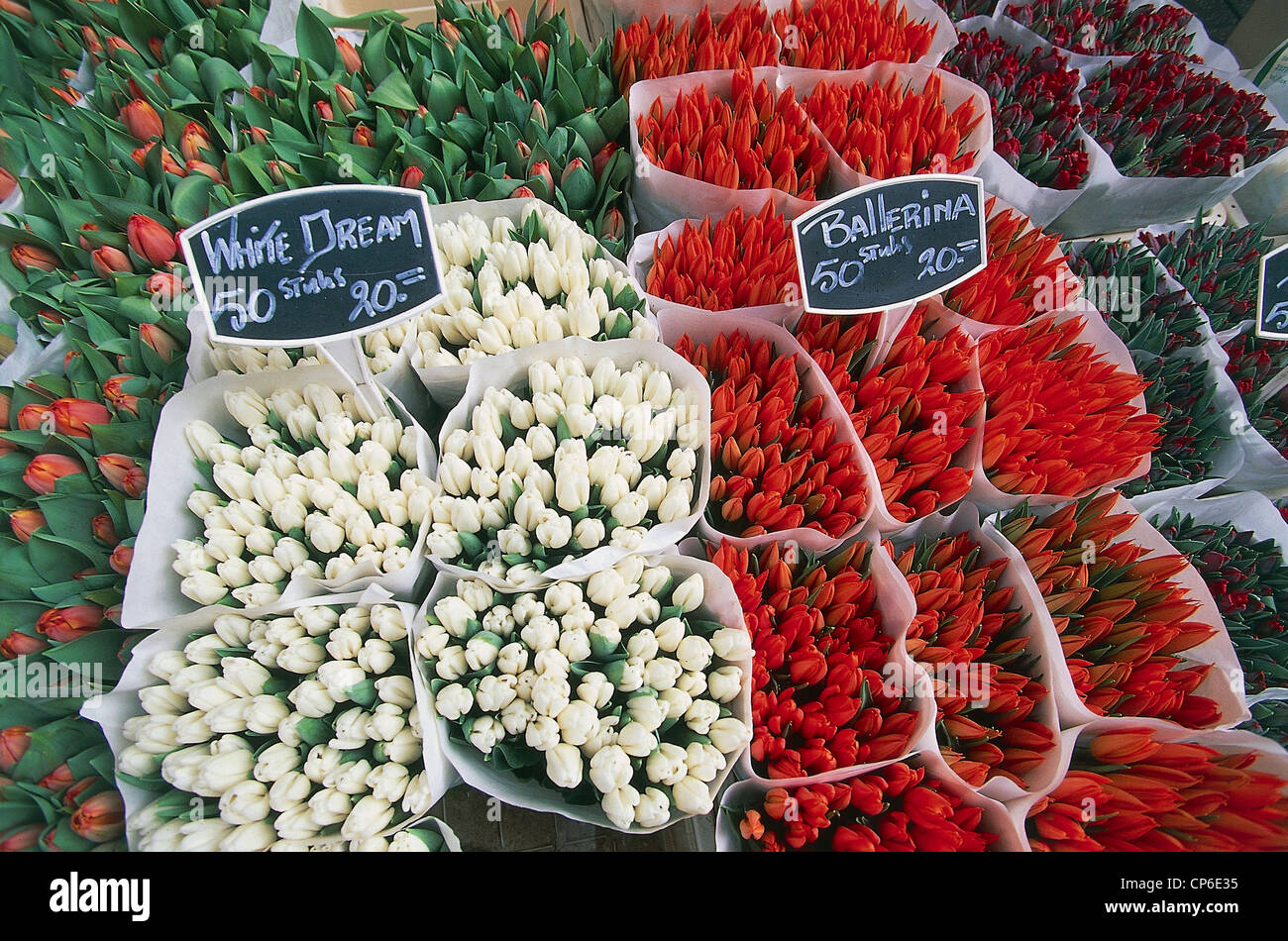 Netherlands AMSTERDAM FLOWER MARKET Stock Photo - Alamy