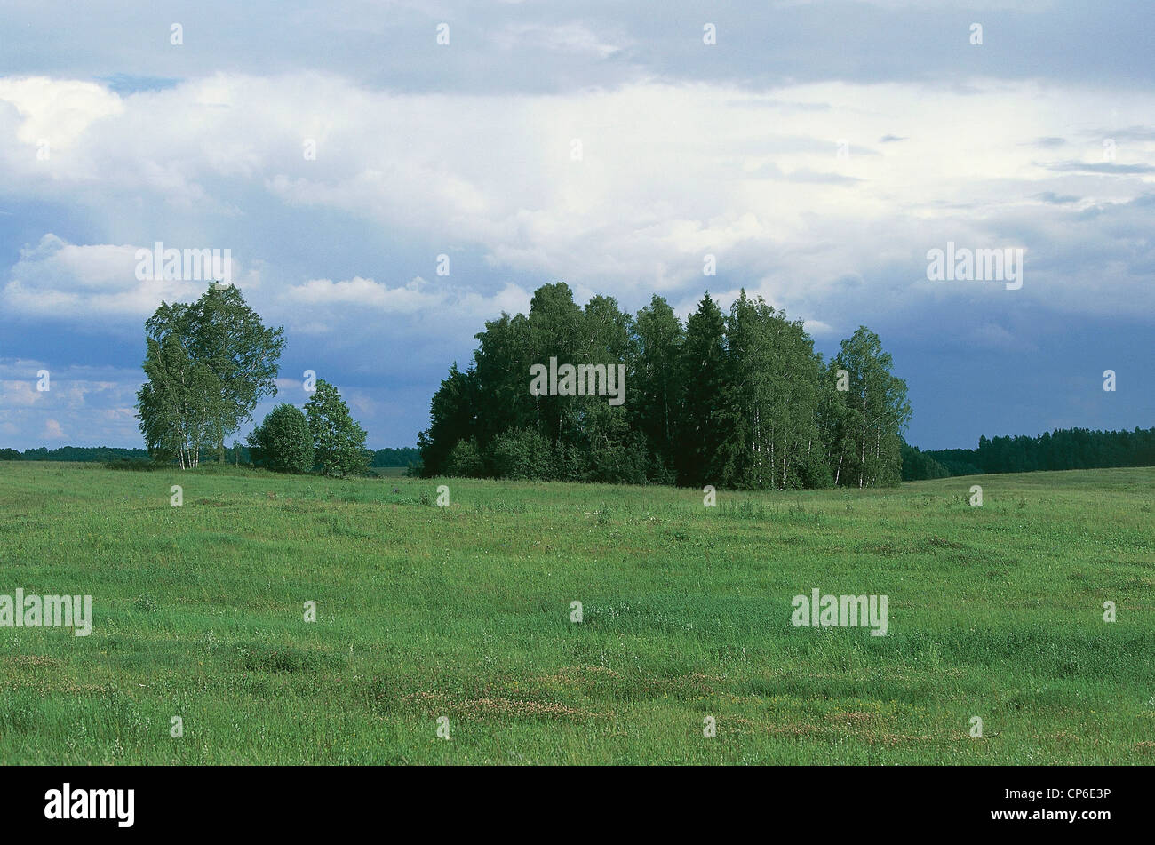 Semgallia hi-res stock photography and images - Alamy