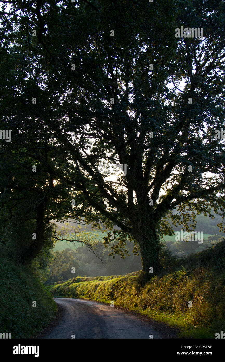 Country Lane In Britain Stock Photos & Country Lane In Britain Stock ...