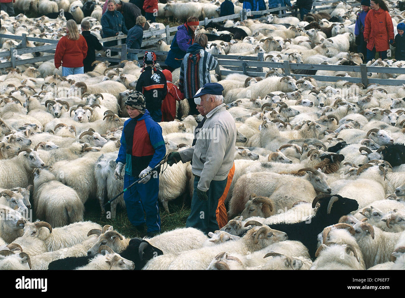 Iceland - Sudur-Thingeyjarsysla - Lake Myvatn (lake of midges ...