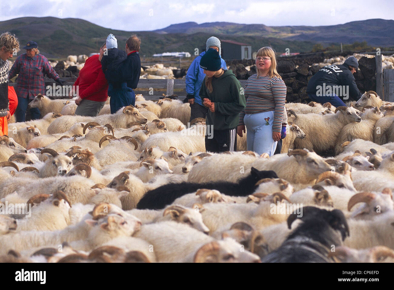 Iceland - Sudur-Thingeyjarsysla - Lake Myvatn (lake of midges ...