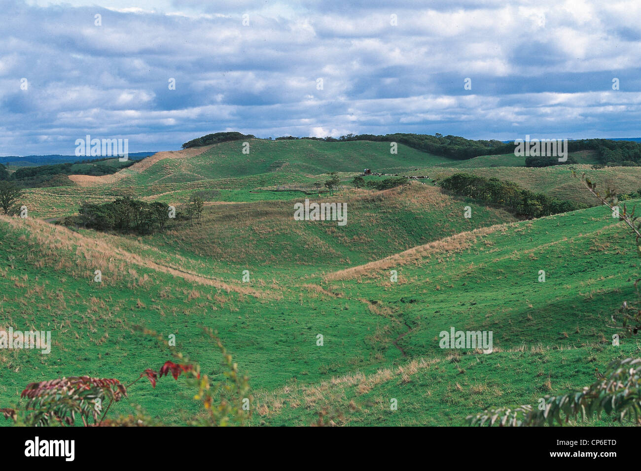 Shibetsu hi-res stock photography and images - Alamy