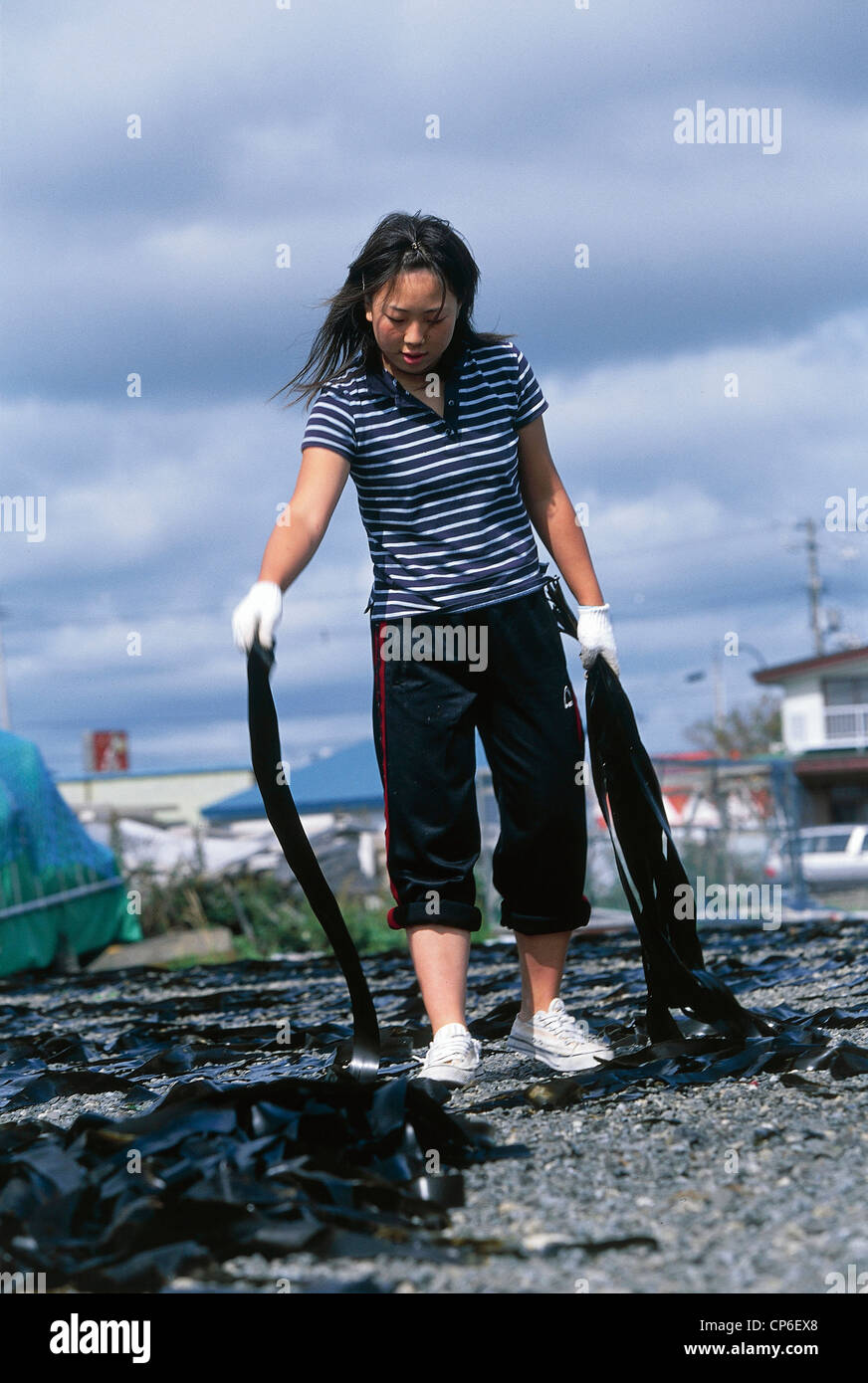 Japan - Hokkaido. Chirippu near Akkeshi, drying algae Stock Photo - Alamy