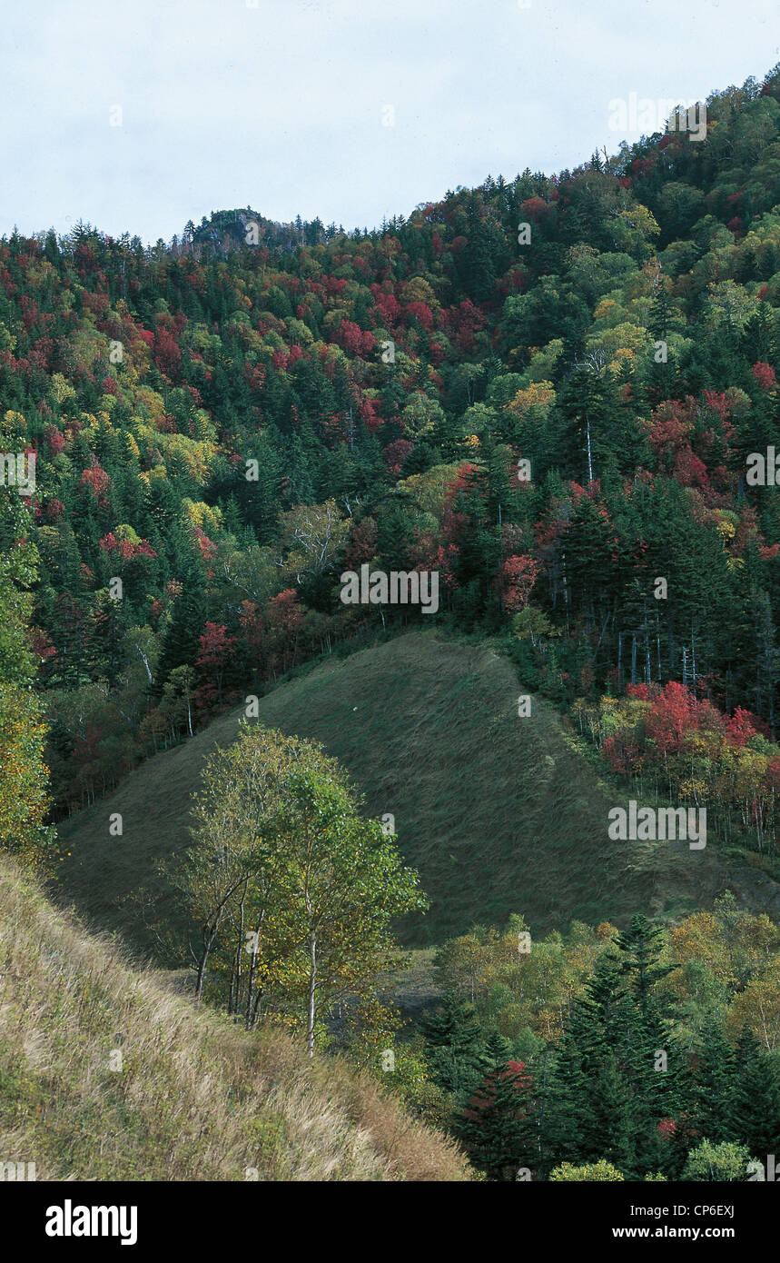 Japan - Hokkaido. Daisetsuzan National Park between Sounkyo Onsen and ...