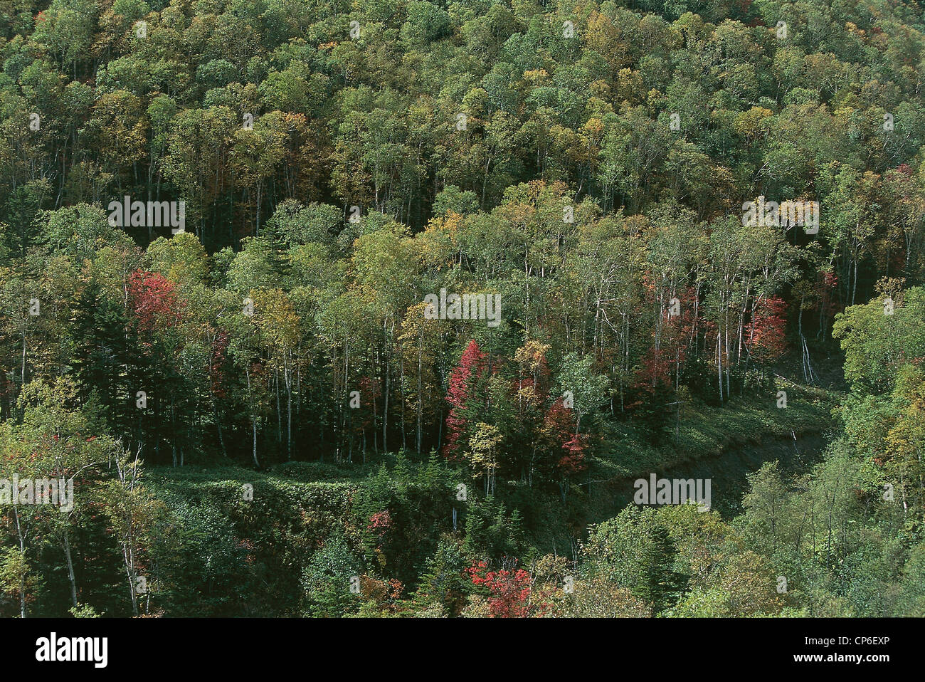 Japan - Hokkaido. Daisetsuzan National Park between Sounkyo Onsen and ...
