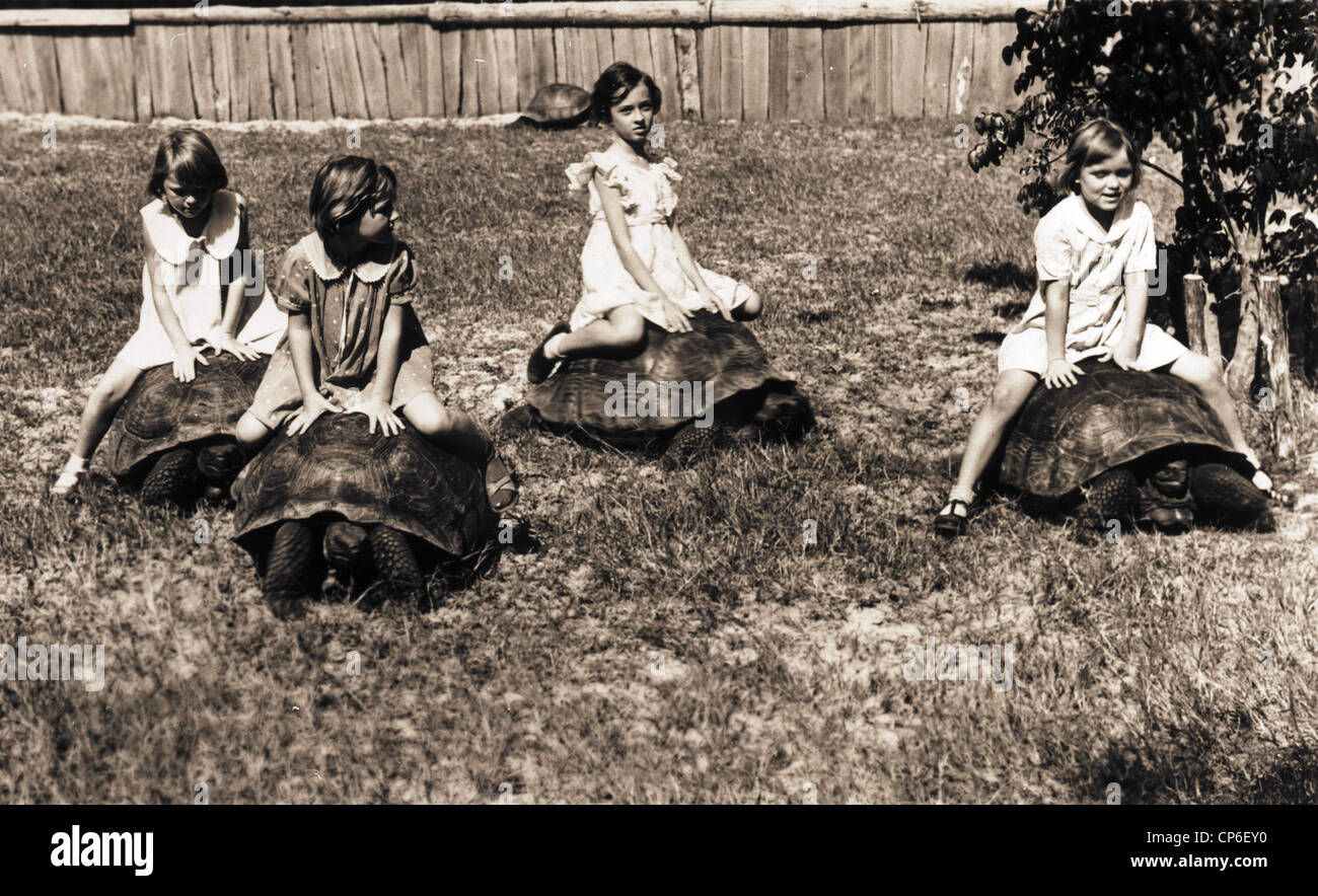 Four Girls Racing Giant Tortoises Stock Photo - Alamy