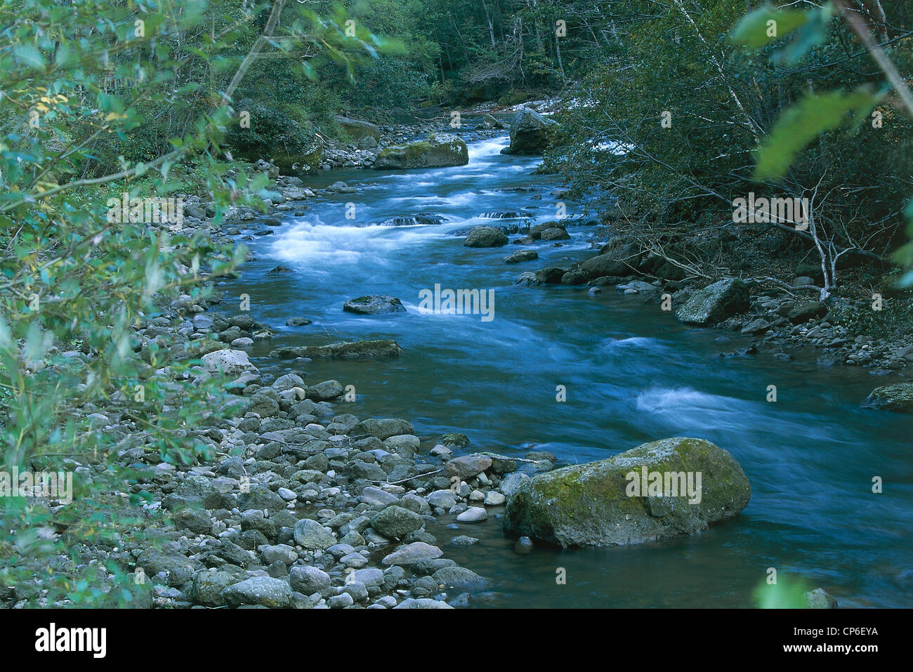 Japan - Hokkaido. Daisetsuzan National Park, in the Ishikari River ...