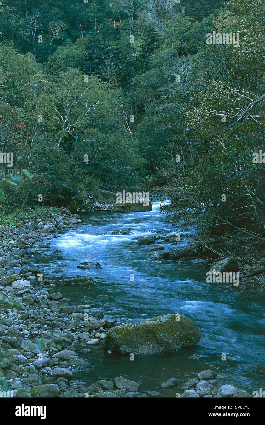 Japan - Hokkaido. Daisetsuzan National Park, in the Ishikari River ...