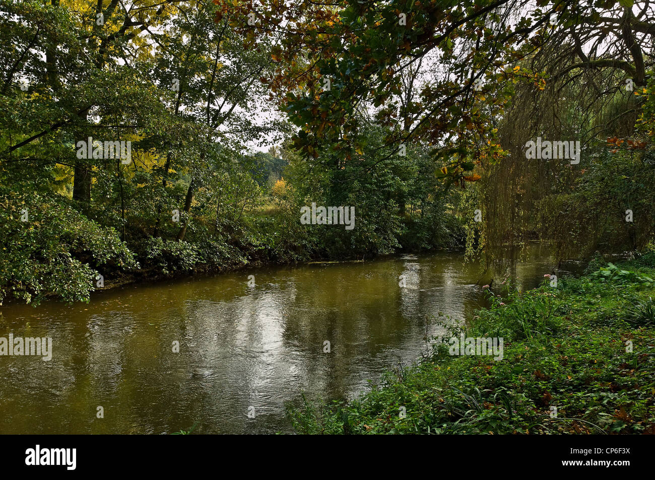 Teich flussufer hi-res stock photography and images - Alamy