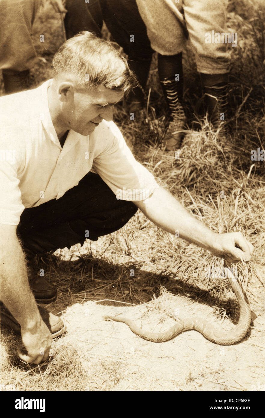 Snake Handler Capturing a Snake by Hand Stock Photo - Alamy