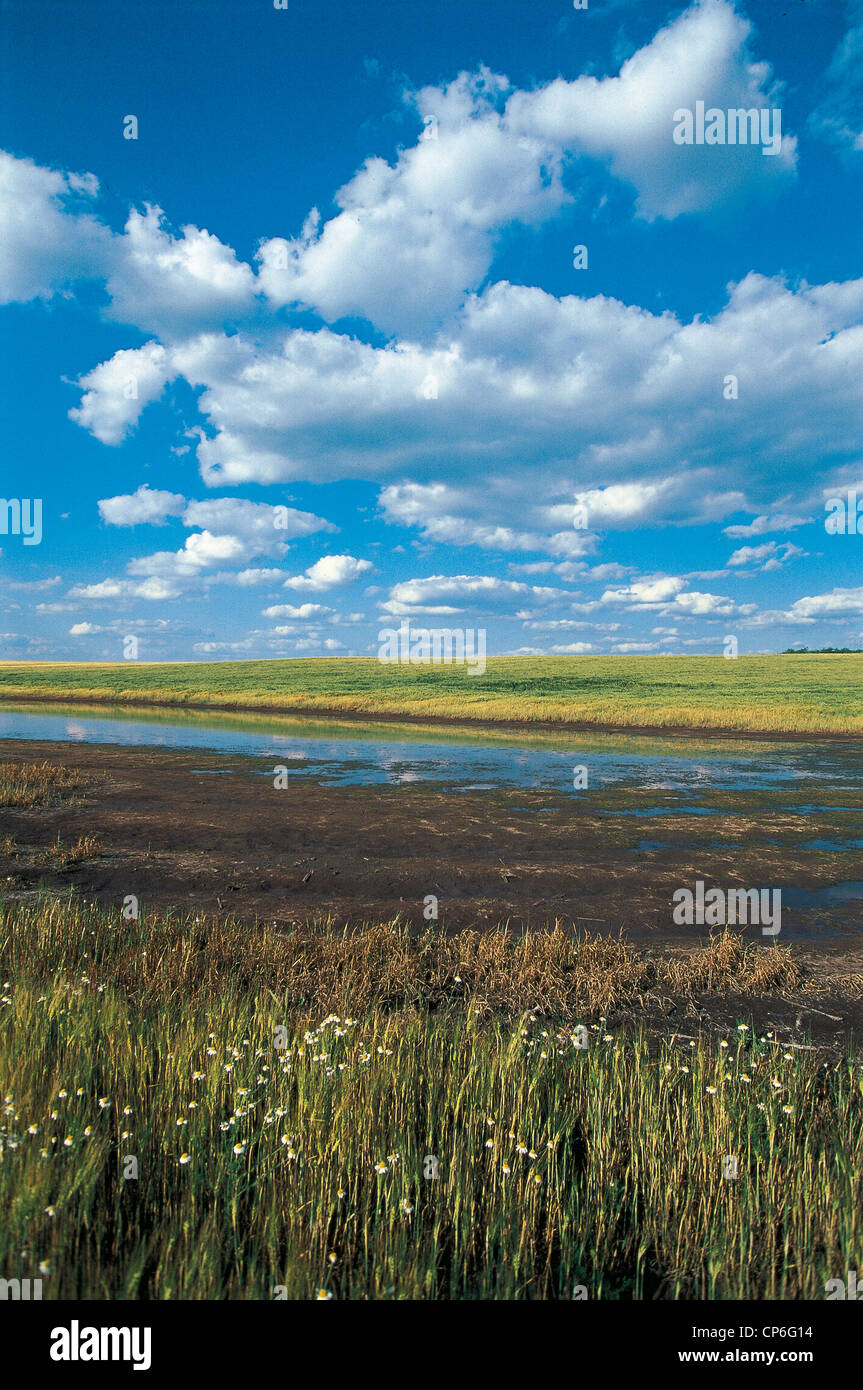 Hungarian geography hi-res stock photography and images - Alamy