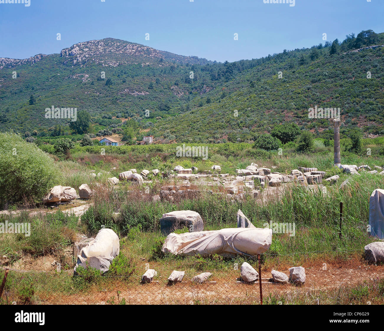 Claros hi-res stock photography and images - Alamy