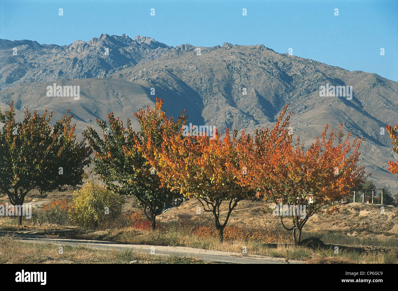 Uzbekistan - Samarkand Around, autumn landscape Stock Photo - Alamy