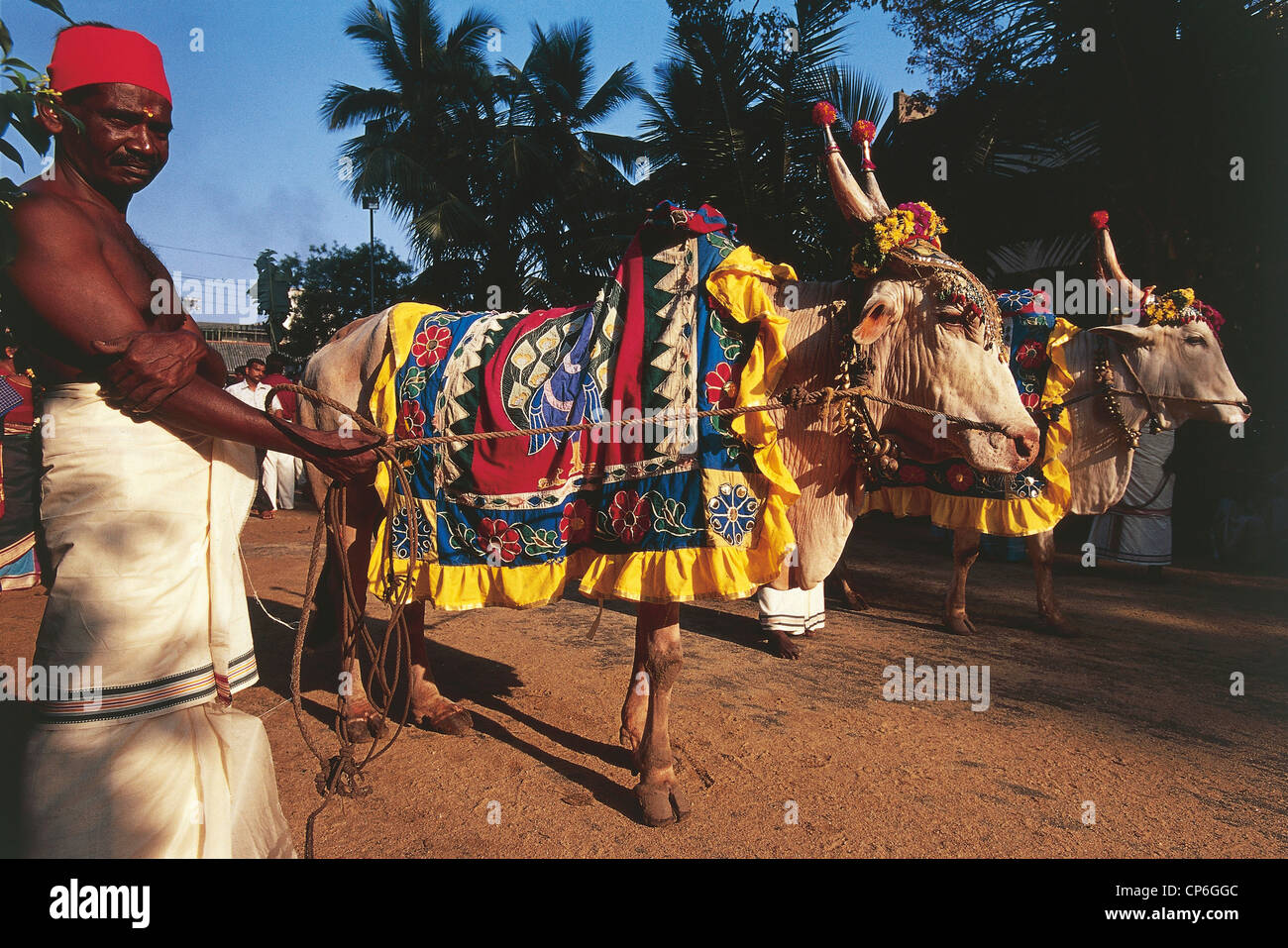 Sivan kovil temple hi-res stock photography and images - Alamy