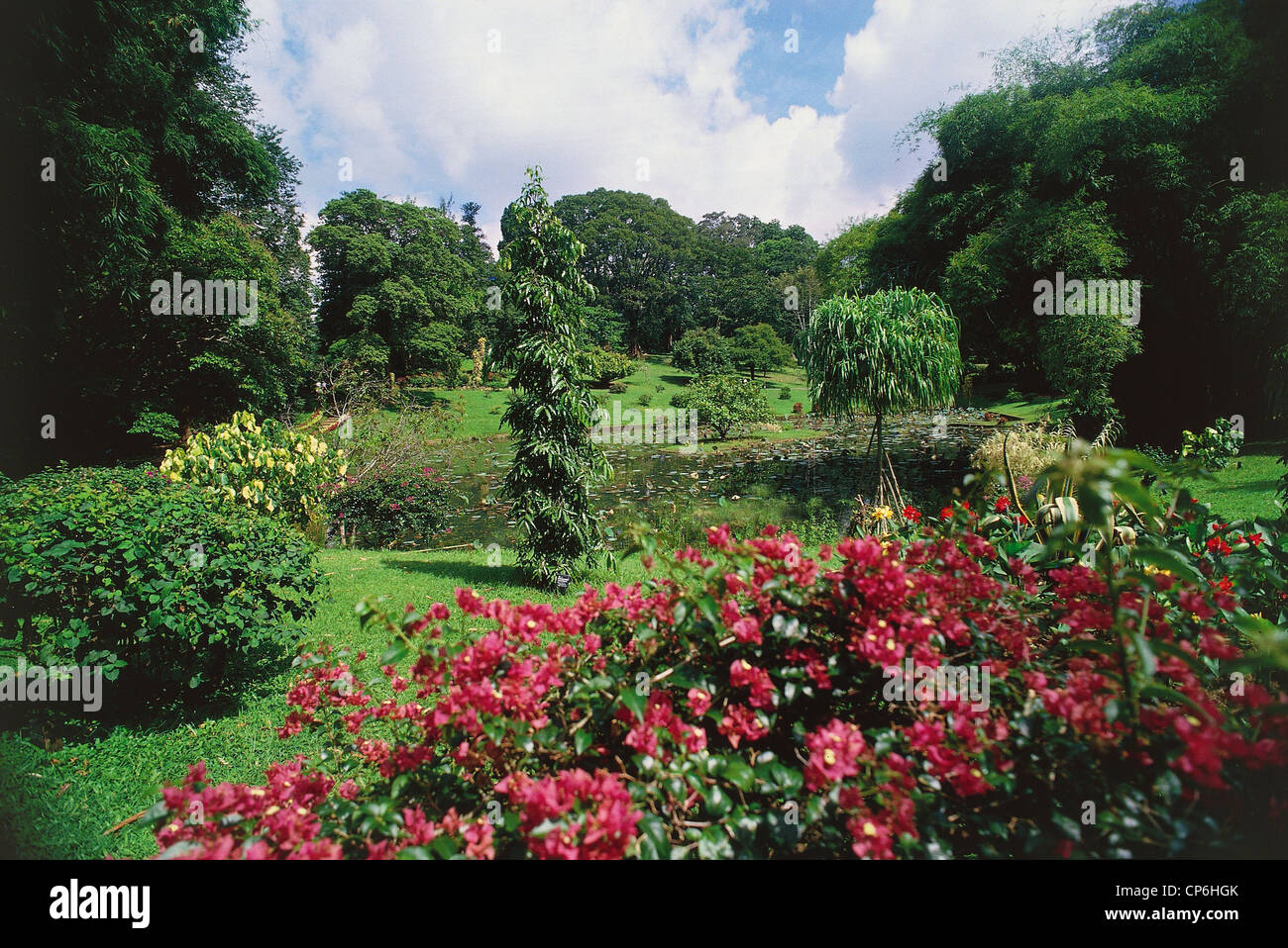 Sri Lanka - Kandy, Peradeniya Botanical Garden Stock Photo - Alamy