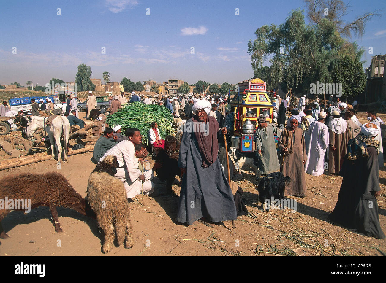 Qina hi-res stock photography and images - Alamy