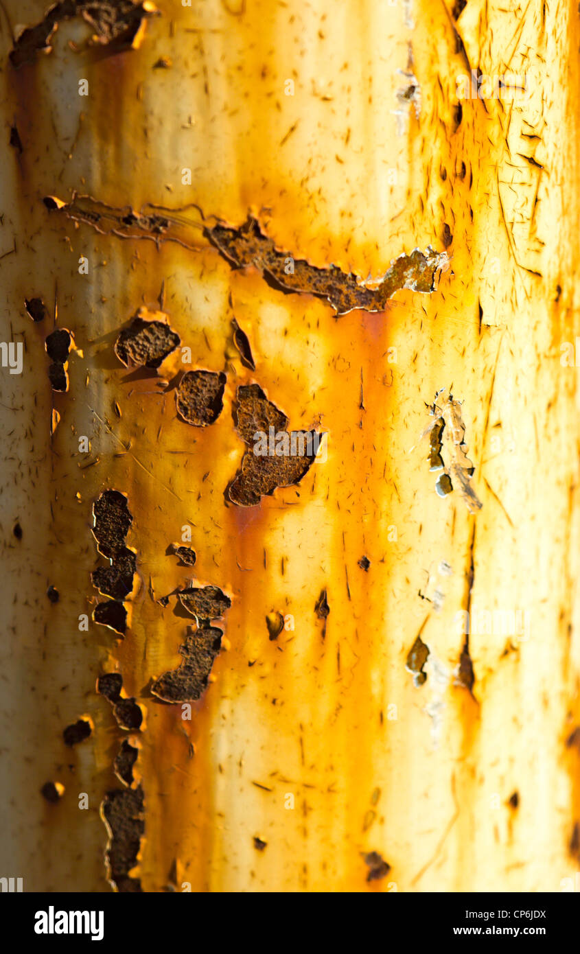 Paint pole hi-res stock photography and images - Alamy