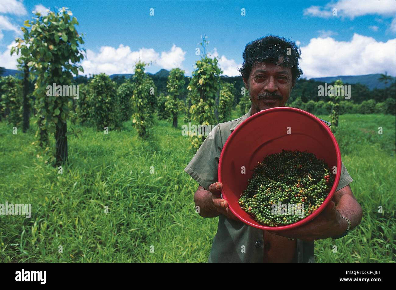 Federated States of Micronesia Eastern Caroline Islands Island Ponhpei ...