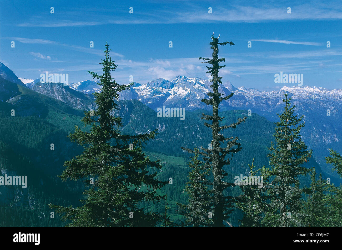 Germany - Bavaria (Bayern) - Berchtesgaden National Park - view with Mt ...