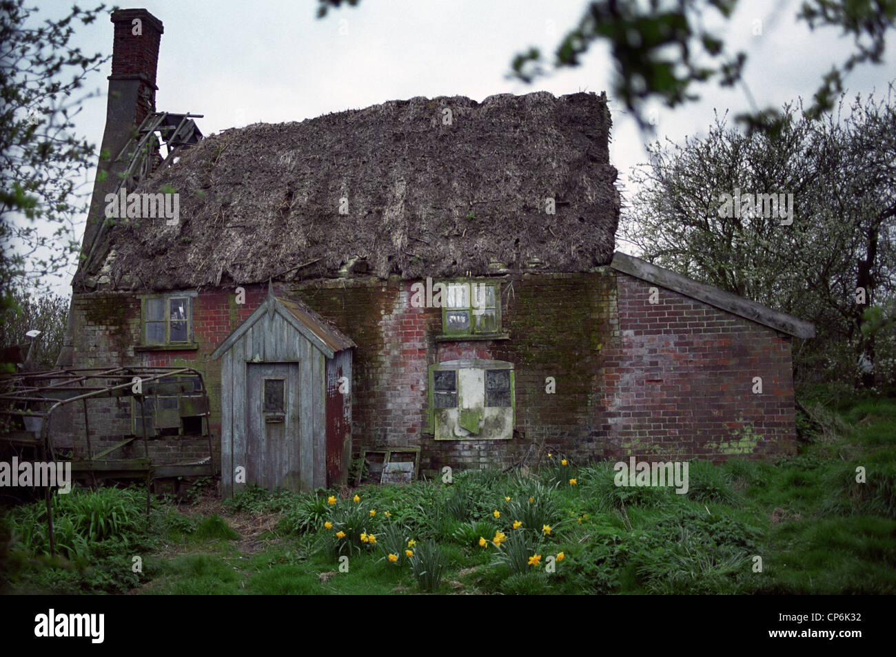 Abandoned thatched cottage hi-res stock photography and images - Alamy
