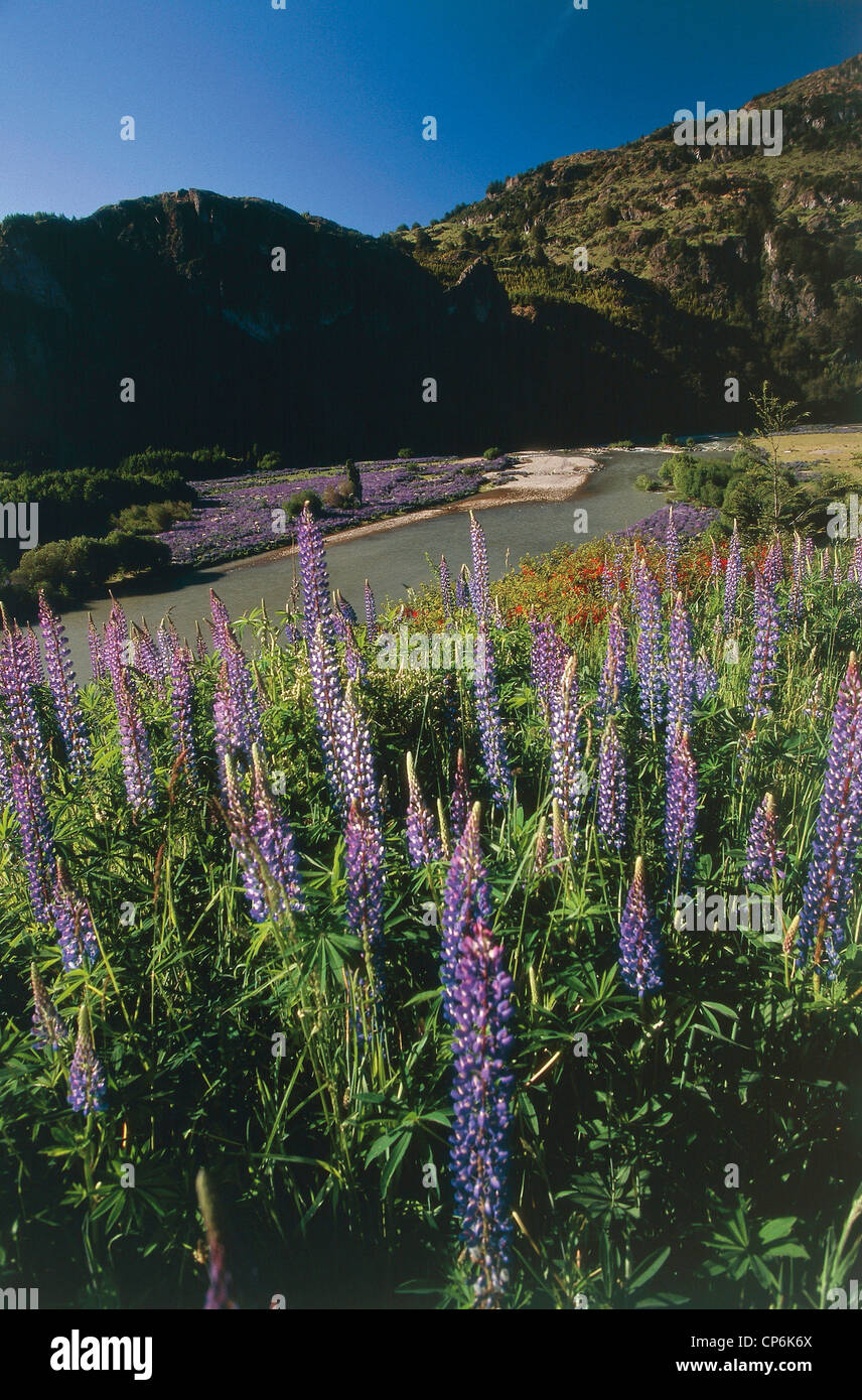 Chile - Patagonia - Rio Simpson between Balmaceda and Coyhaique Stock ...