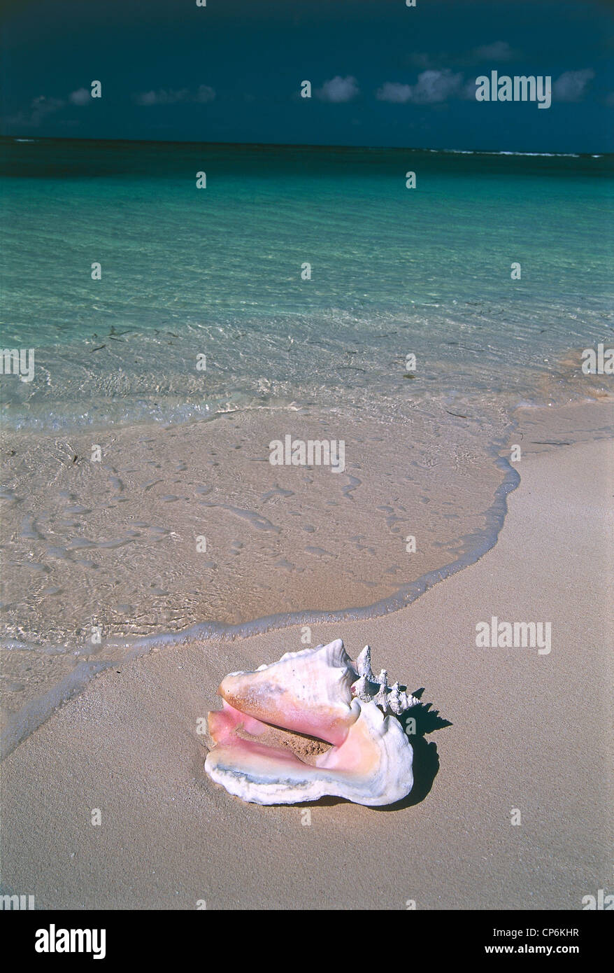 British colonialism in ireland hi-res stock photography and images - Alamy