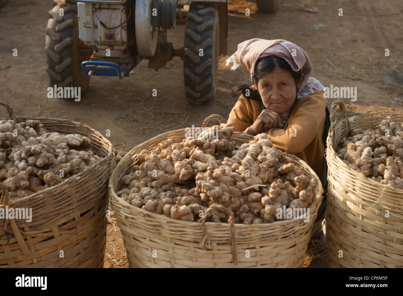 Ginger root myanmar hi-res stock photography and images - Alamy