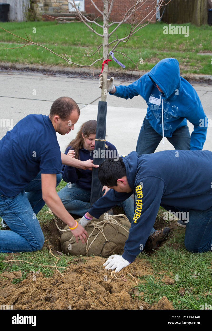 Student planting tree hi-res stock photography and images - Alamy