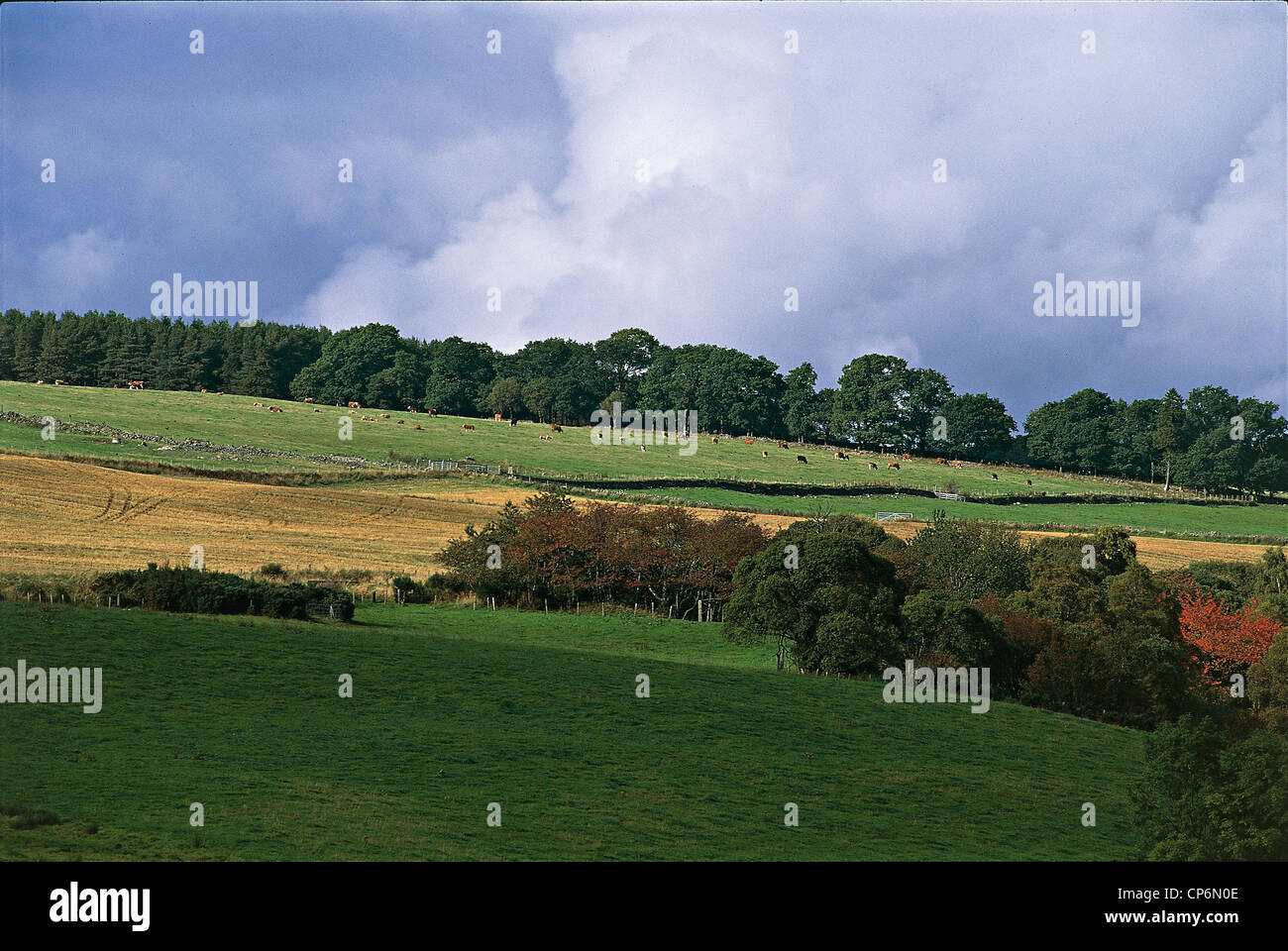 Rothes scotland hi-res stock photography and images - Alamy