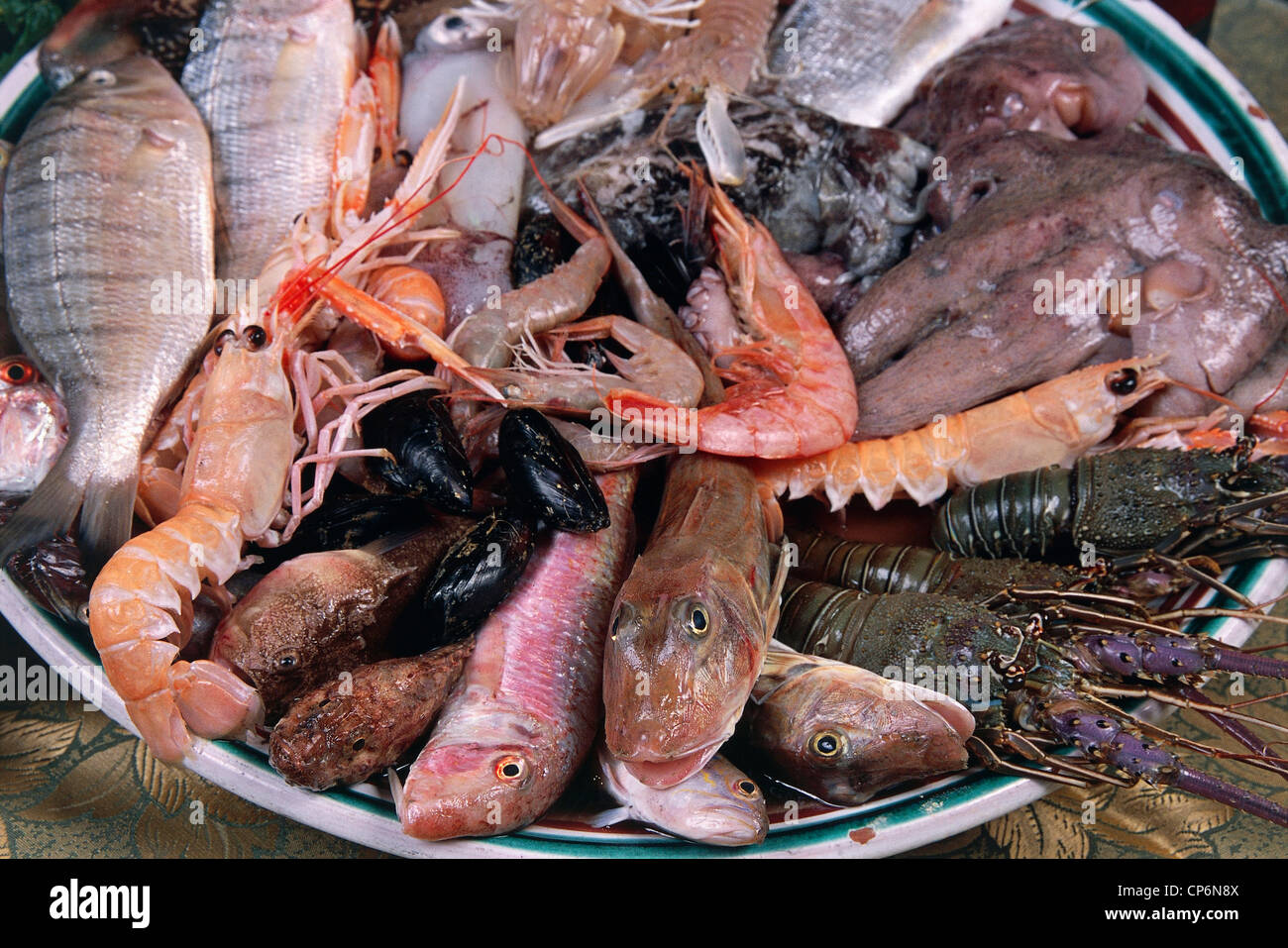 Puglia - Parco Nazionale del Gargano - Vieste (Fg), The Cliff ...