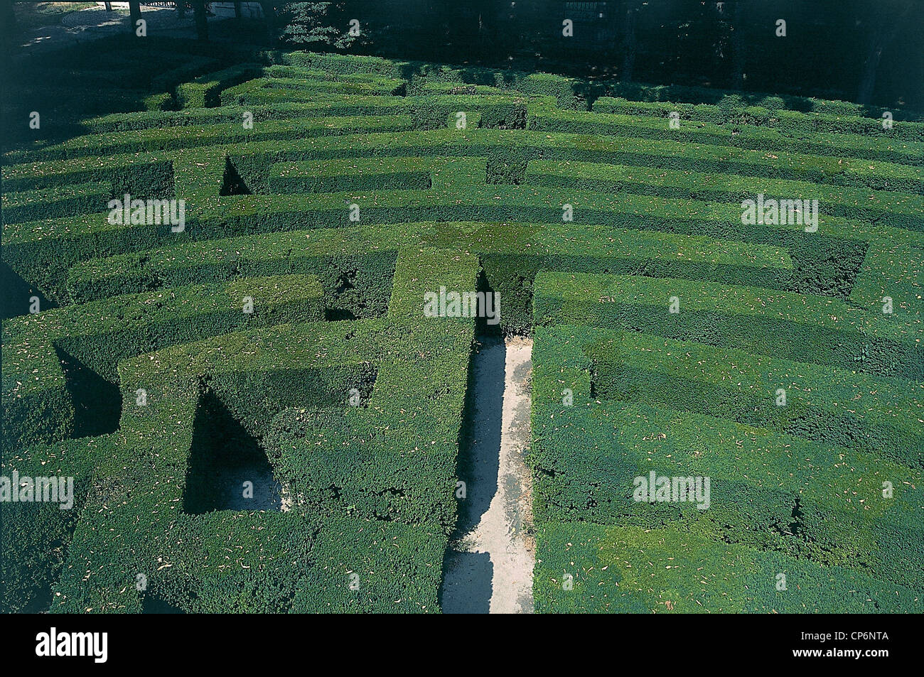 Veneto - Stra (Ve). Villa Pisani. The maze of hedges of boxwood (Buxus ...