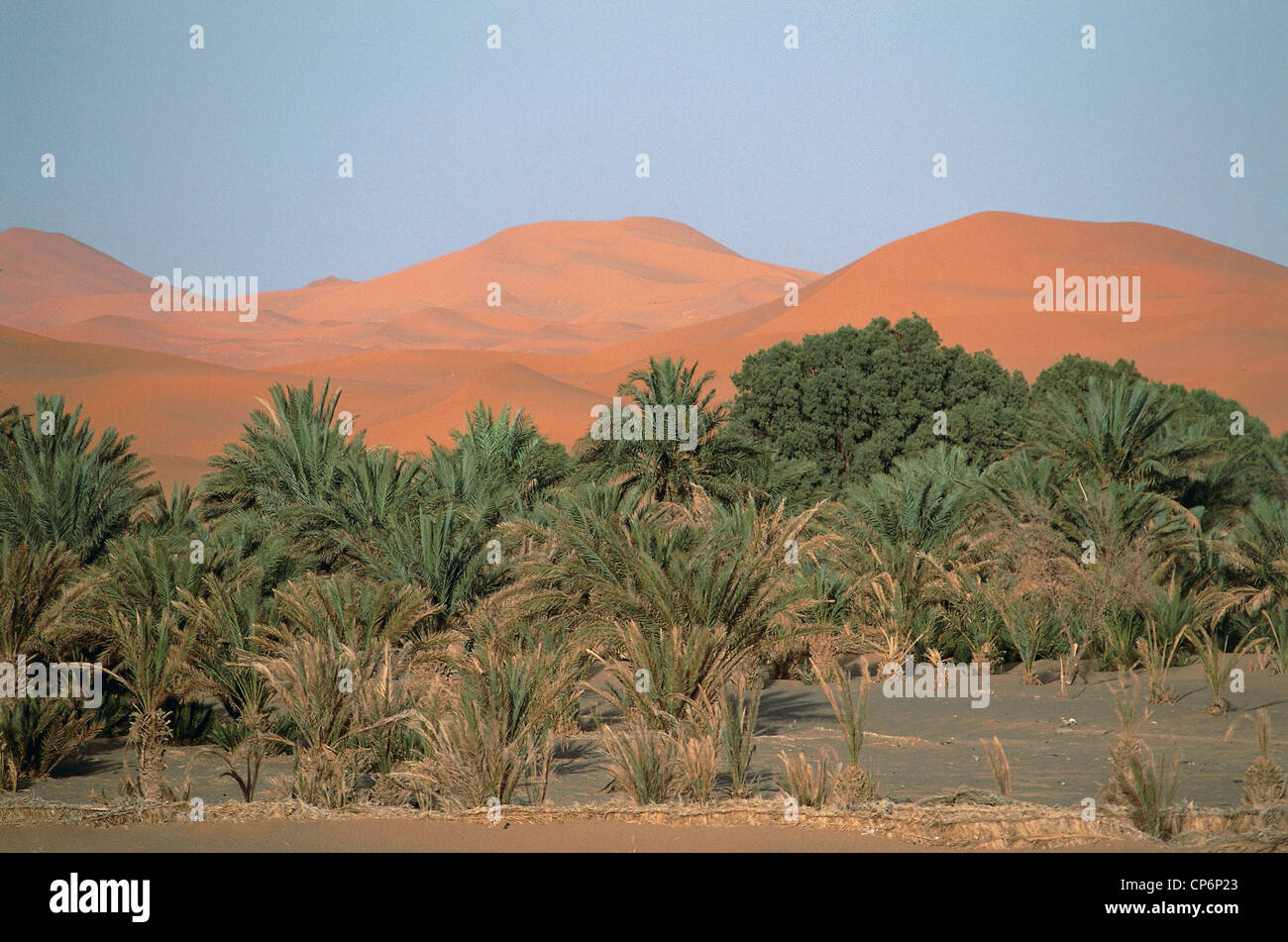 Morocco - Er Rachidia Province - Valley of the Ziz - Tafilalt ...