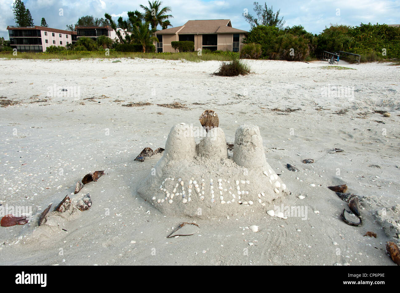 Sanibel island florida and shells hi-res stock photography and images ...