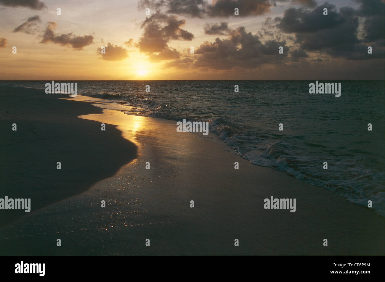 Isla aves venezuela hi-res stock photography and images - Alamy