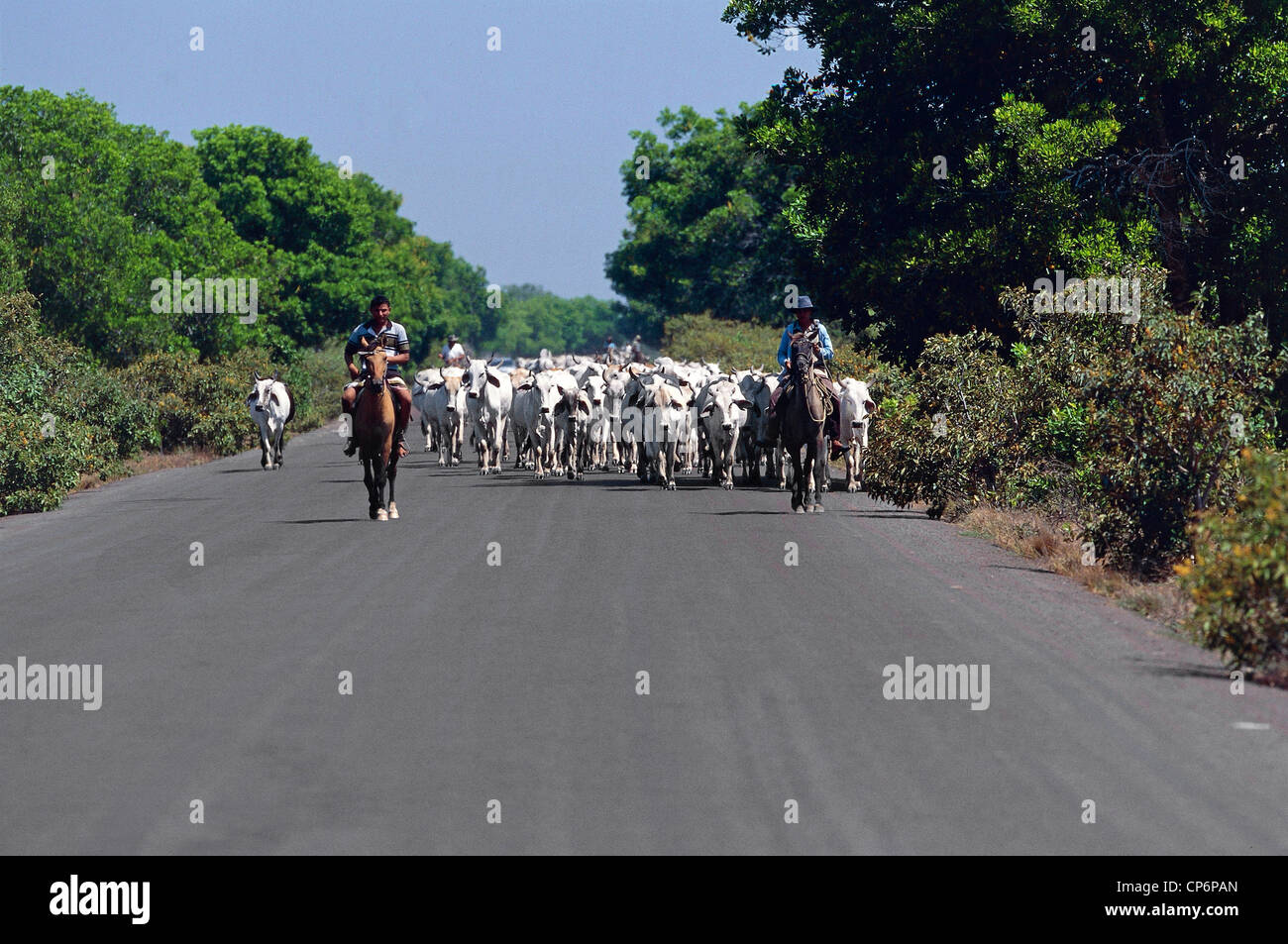 Los vaqueros hi-res stock photography and images - Alamy