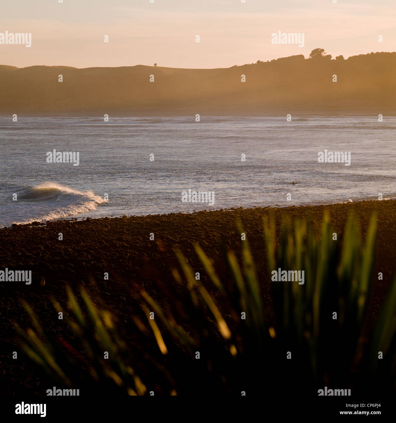 Raglan new zealand hi-res stock photography and images - Alamy